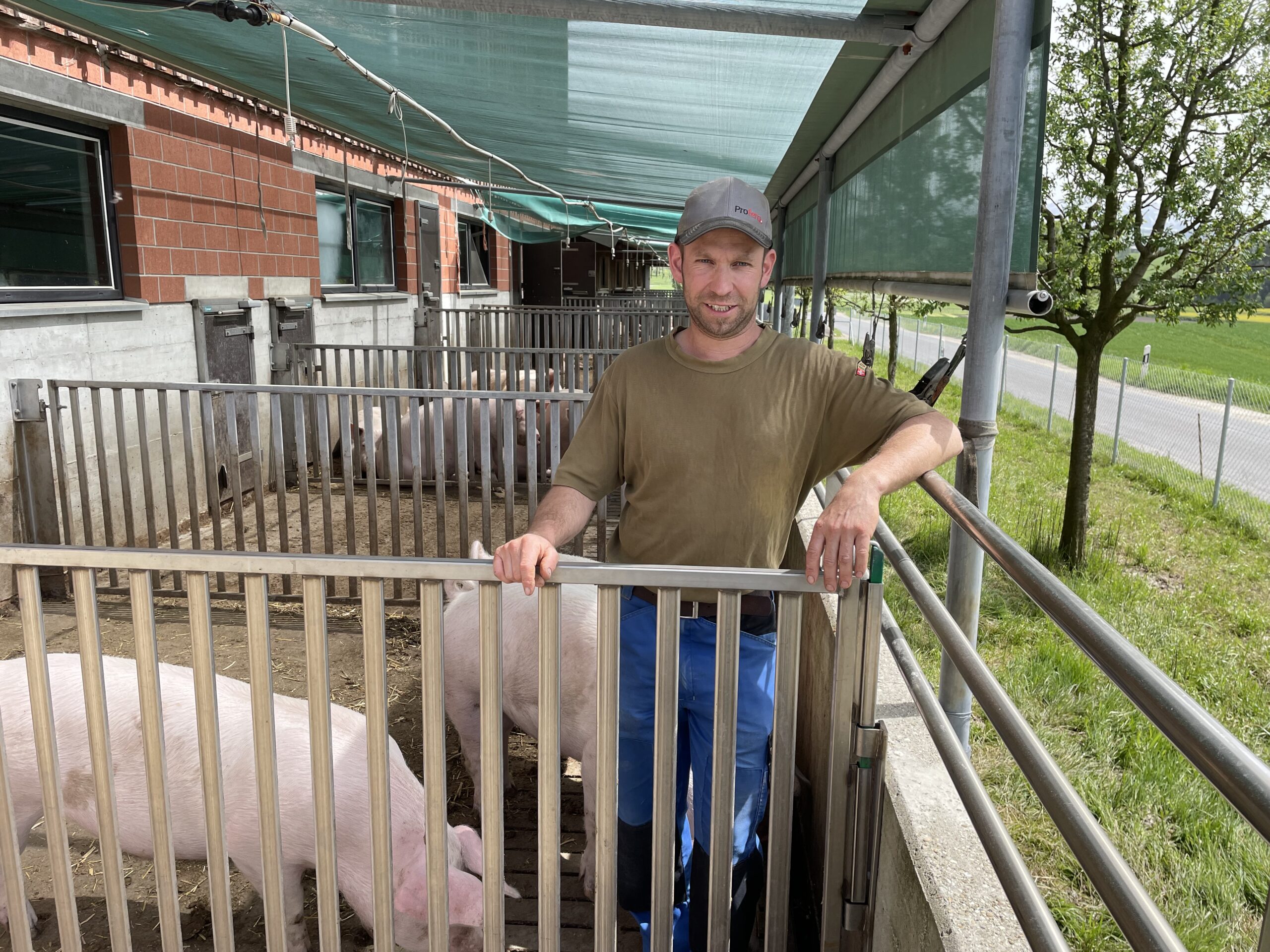 Aktuelles, Termine, Rezepte und mehr - Profera